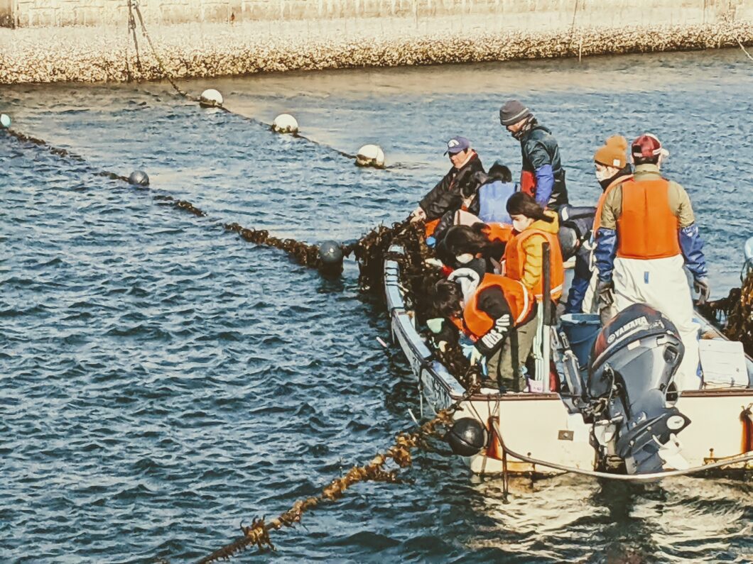 菅島小学校の児童が種付けしたわかめの刈り取りをしました - 菅島PORTAL