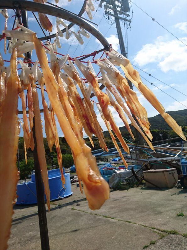 WELCOME SUGASHIMA - 菅島PORTAL